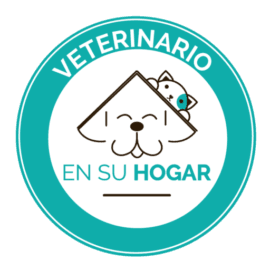 Hemavet® B12 - Veterinario en su hogar